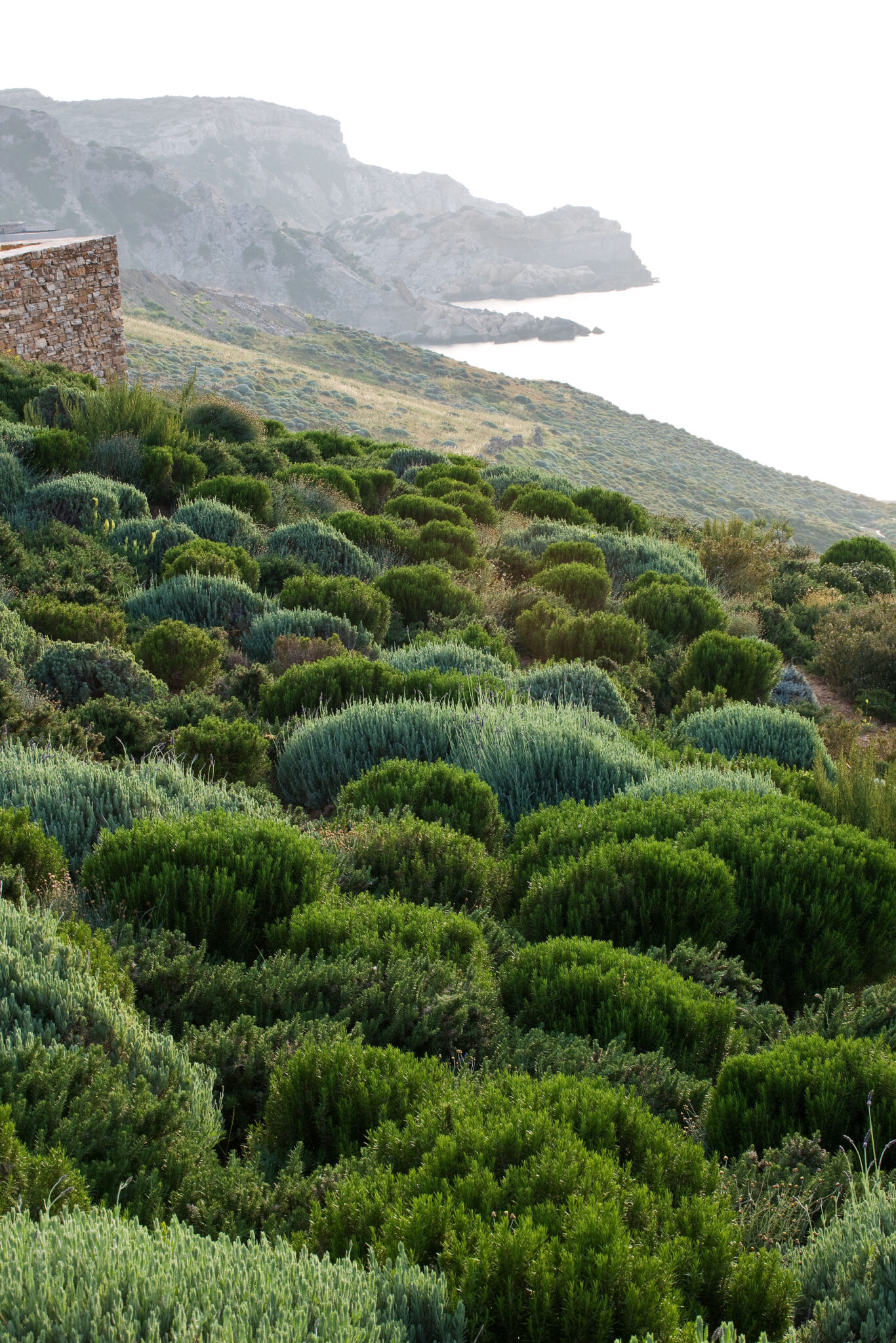 doxiadis+ architecture and landscape architecture Development of 30 ...